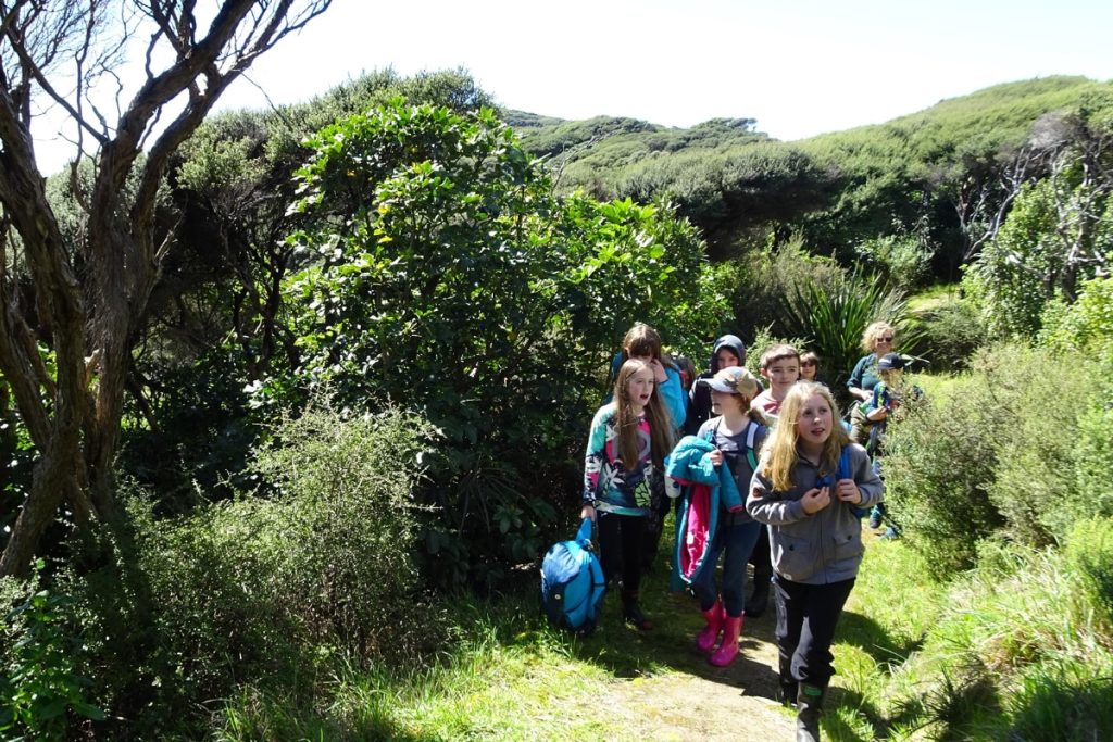 One-Day Itinerary for Nature Coast - NatureCoast.co.nz